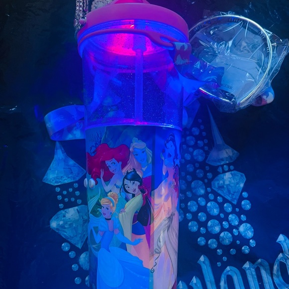 Disney | Other | Disney Princess Bubbles Light Up Sipper | Poshmark